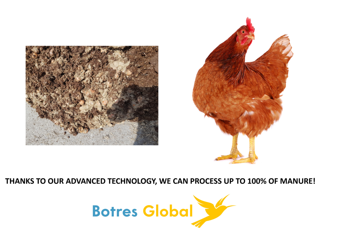 How can we solve chicken manure problem in Poland?