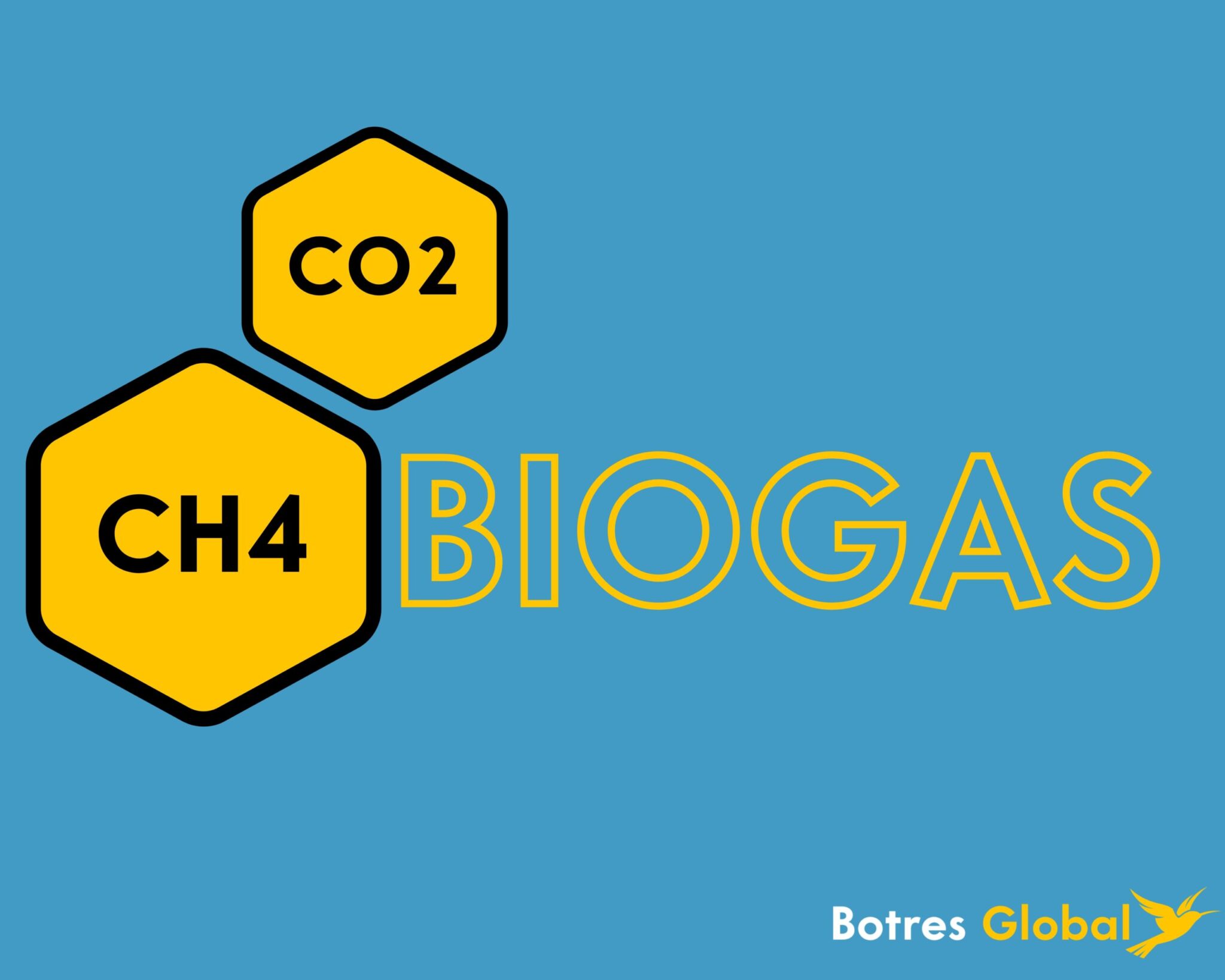 What is biogas? Definition of this green energy source.