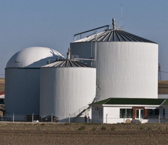 POLATLI, TURKEY - Botres